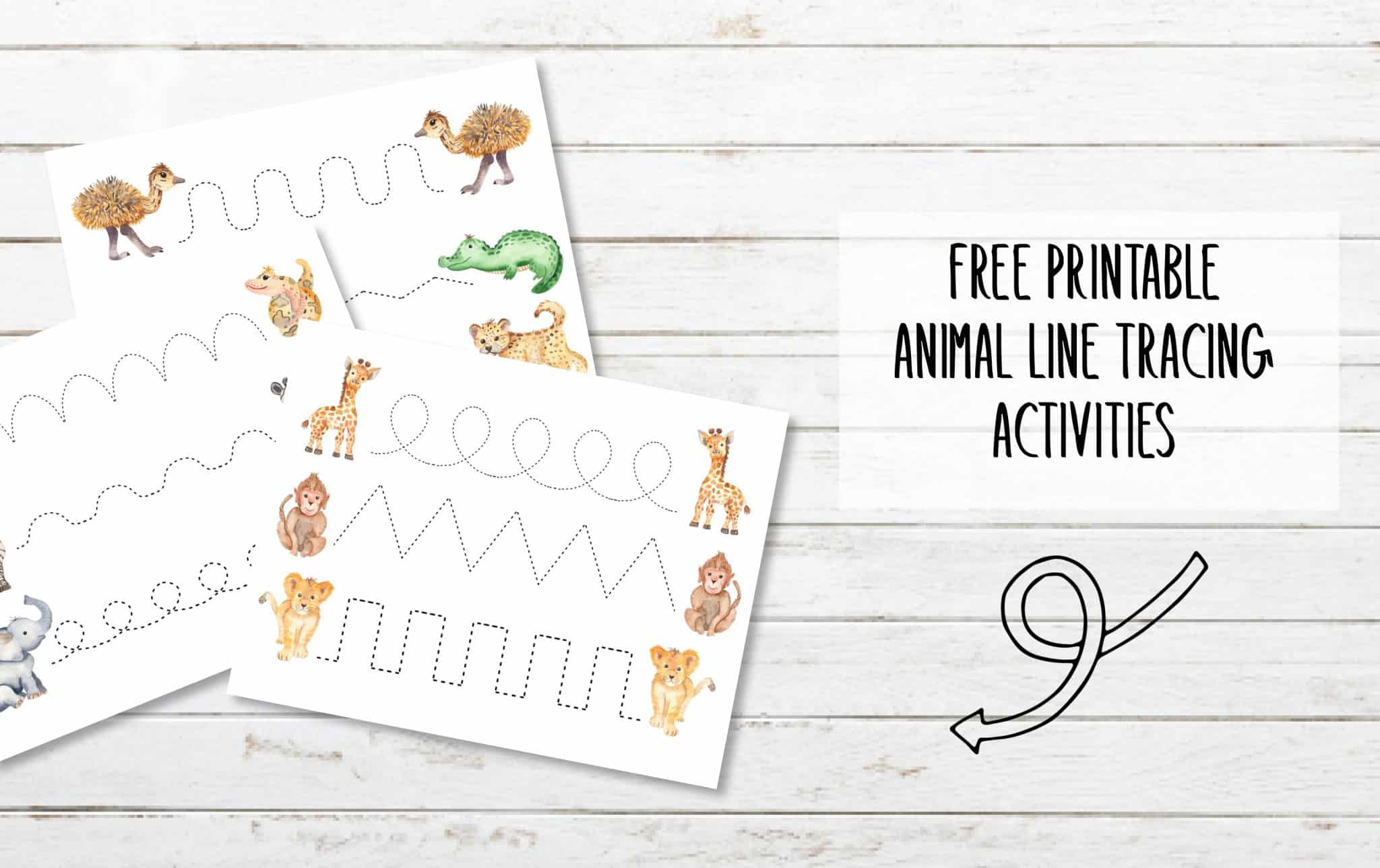 FREE Printable Animal Line Tracing Activities - My Printable Home