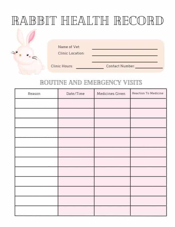 5 FREE Printable Pet Health Record Sheets - My Printable Home